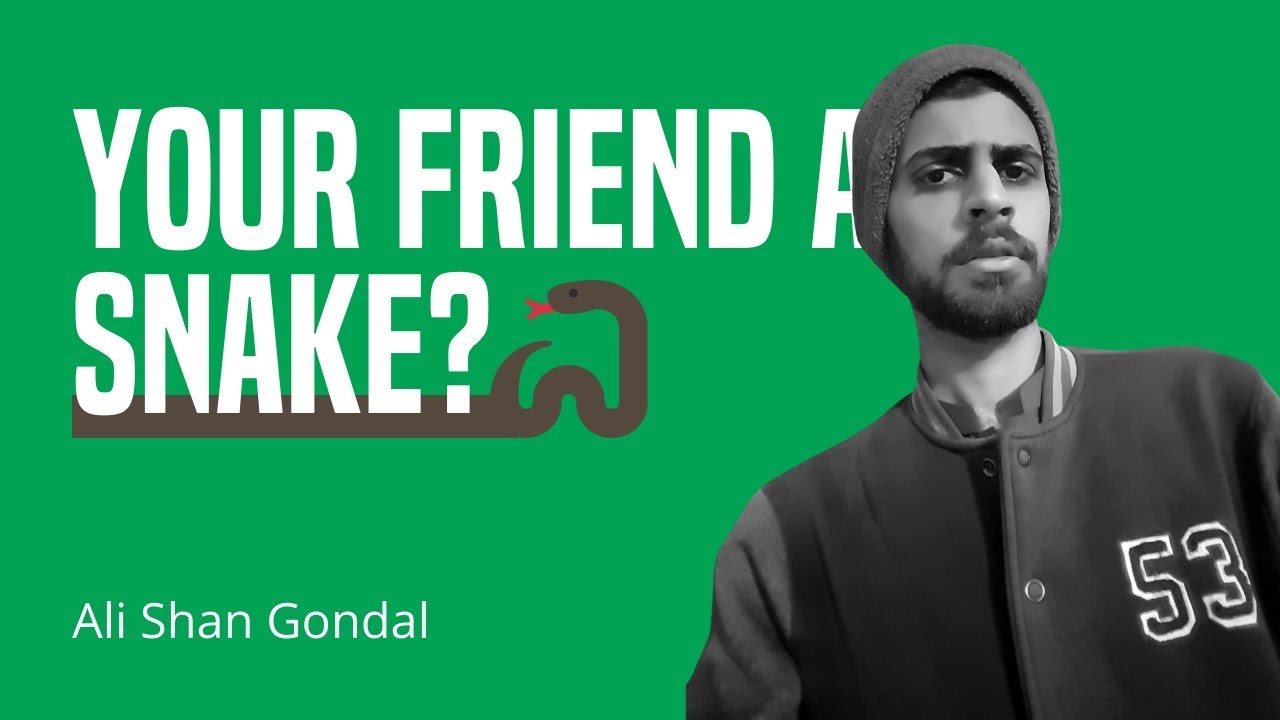 Snakes in University | Is your friend a snake? | Ali Shan Gondal - YouTube