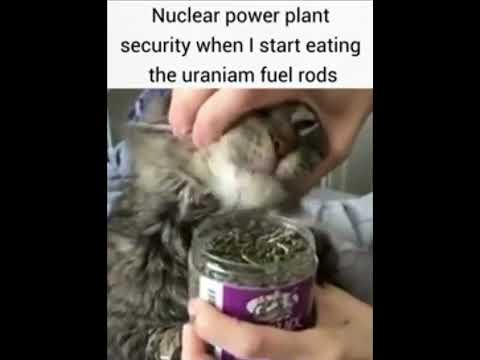 Nuclear power plant security when I start eating the uranium fuel rods ...