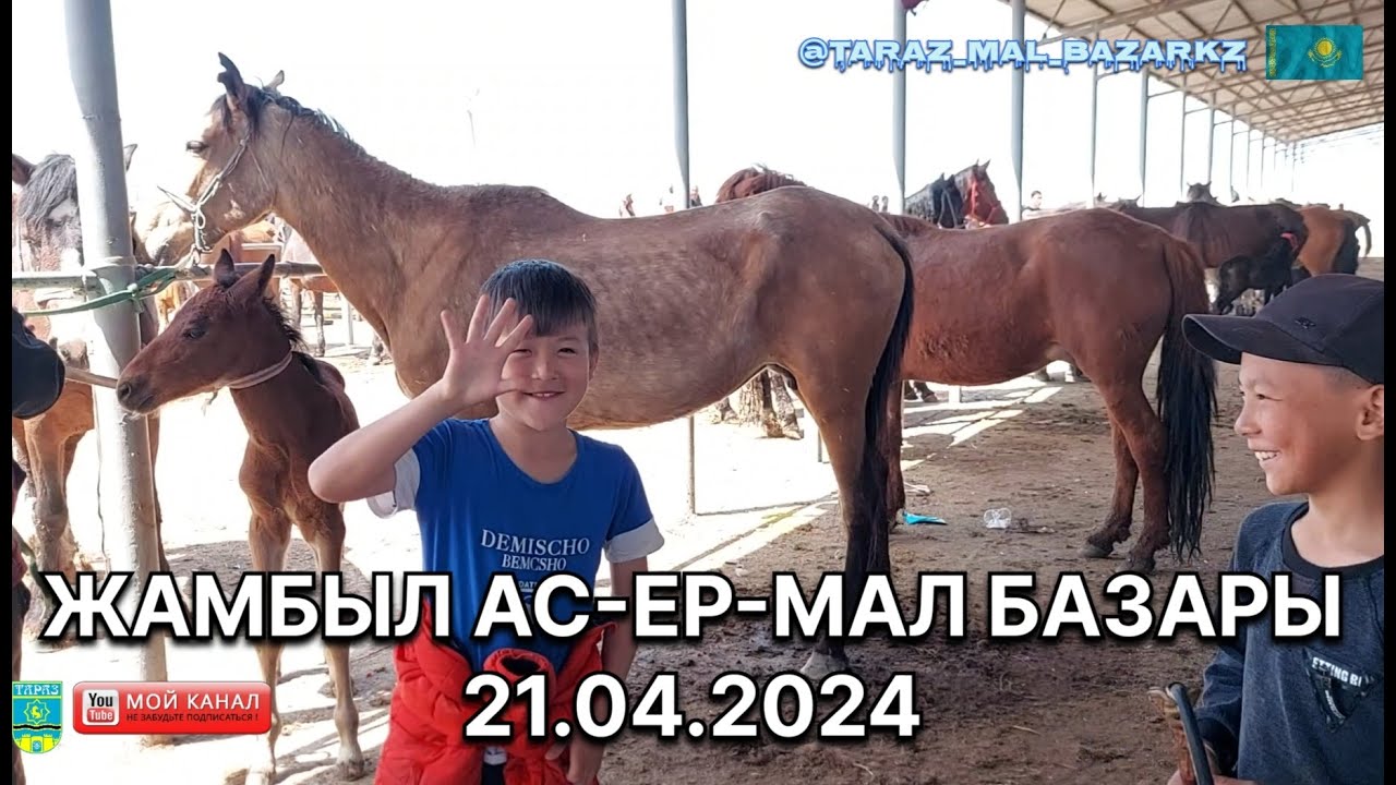 Жылқы бағасы / Мал базар / Mal bazar 21/04/2024 - YouTube