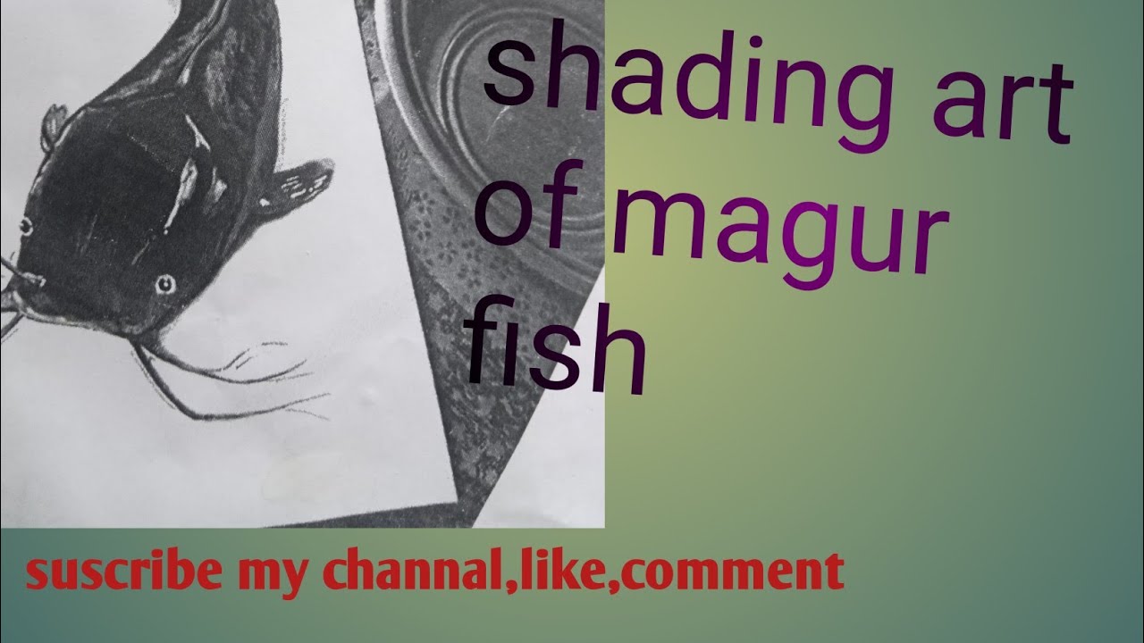Magur fish shading drawing--#shading art#artist #artist #artistpainting ...