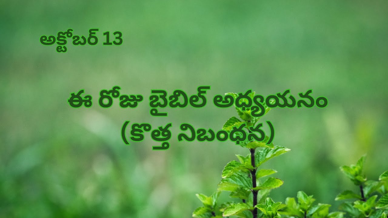 Bible Reading in a Year || October 13 || New Testament || Day-To-Day ...