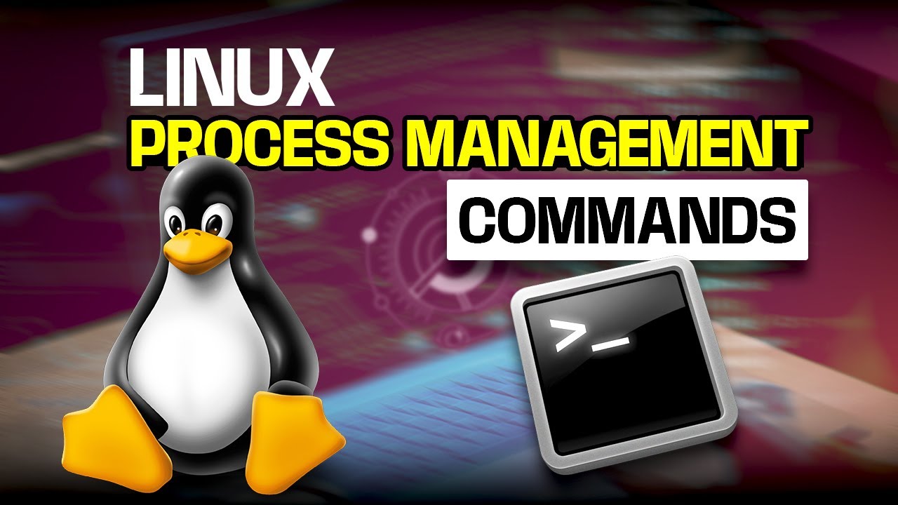 Linux Process Management Commands - YouTube