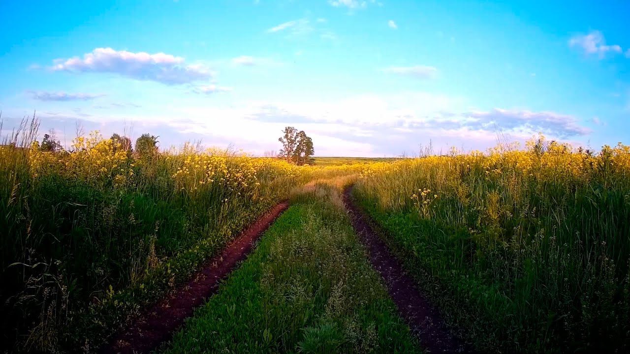 Dirt road driving - YouTube