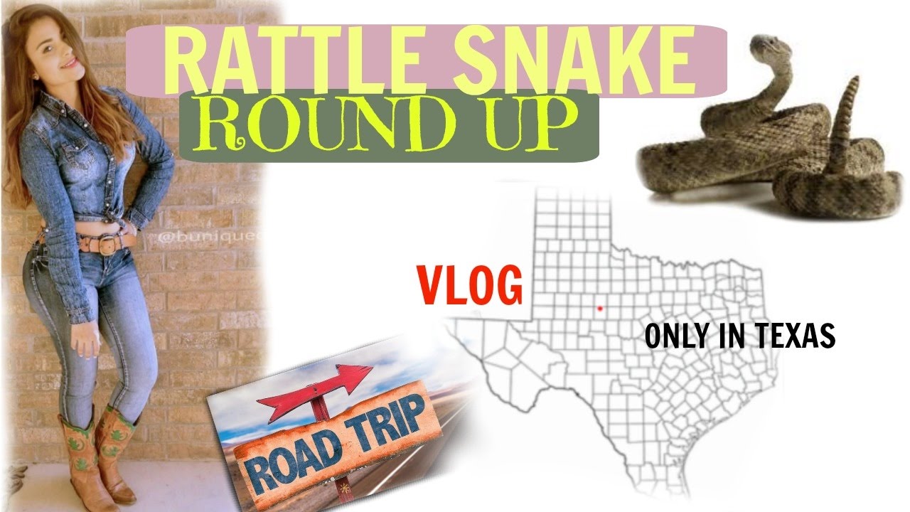Rattle Snake ROUND UP, Sweetwater TX (WARNiNG GRAPHIC IMAGES) - YouTube