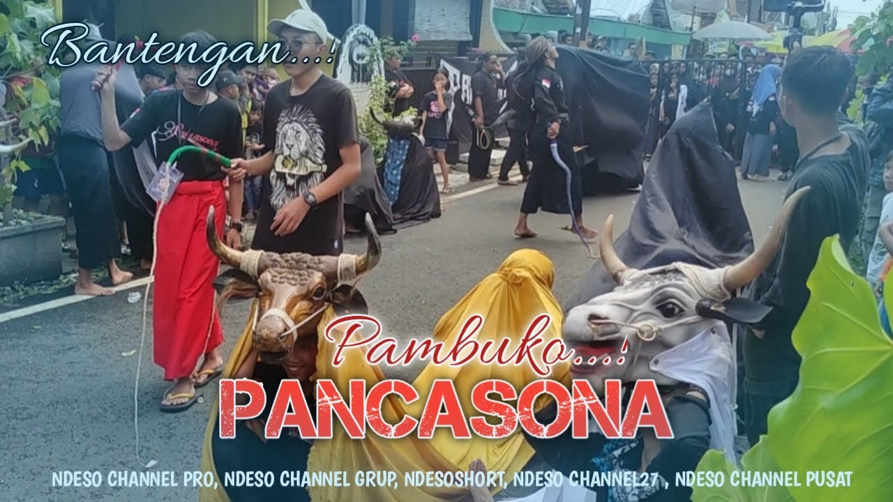 Bantengan Pambuko PANCASONA live Merjosari - YouTube