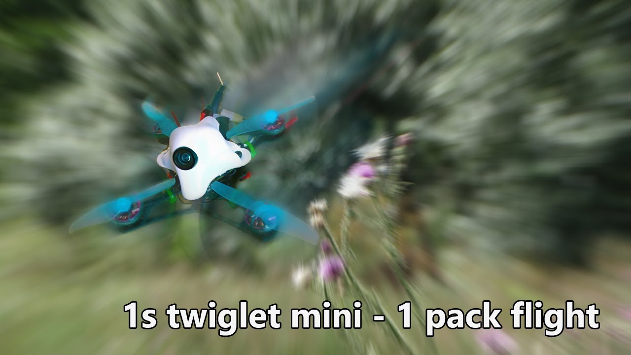 1s twiglet mini - 1 pack flight - YouTube