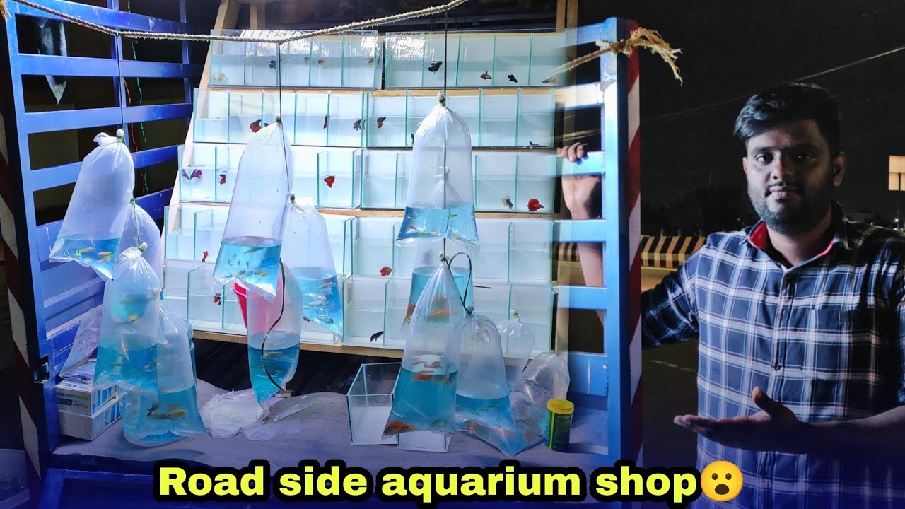 Portable Roadside aquarium in chennai | குட்டி யானையில் மீன் கடை - YouTube