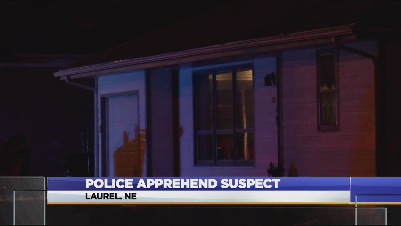 Police apprehend suspect - YouTube