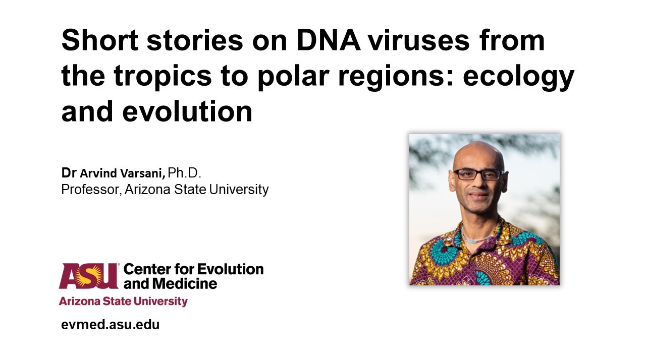 Dr Arvind Varsani- Short stories on DNA viruses from the tropics to ...