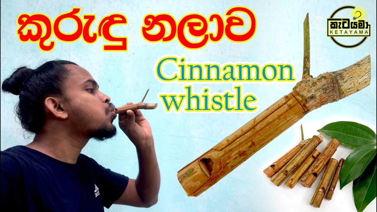 කුරුඳු නලාව හදන හැටි / How to make the cinnamon flute - YouTube