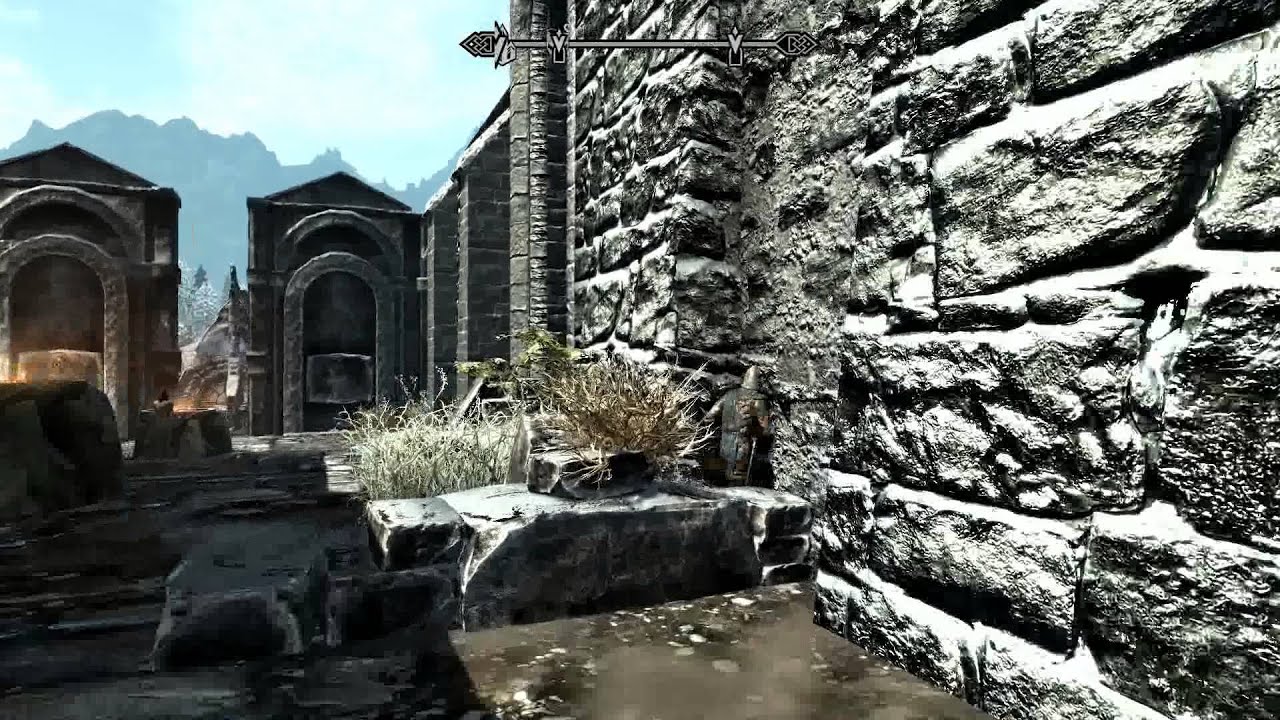 Windhelm Guard running against wall // Skyrim - YouTube