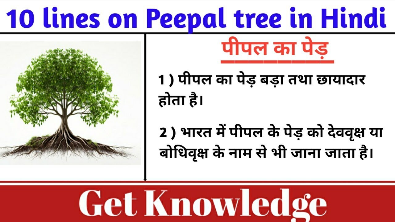 पीपल के पेड़ पर 10 वाक्य | पीपल के पेड़ पर 10 लाइन | 10 lines on Peepal ...