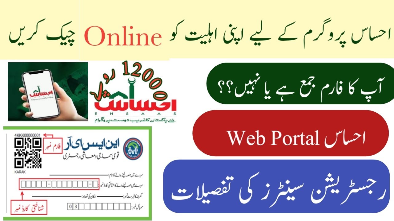 Ehsaas Web Portal Online|| Ehsaas program new portal||8171 Web Portal ...