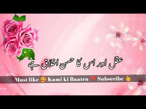 Hazrat Ali 2 Quotes || Islam ky dunya || insan ky fazilat || whatapp status || TikTok vedio Islamic