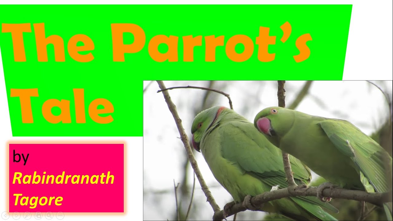 The Parrot's Tale By Rabindranath Togore || Explanation || - YouTube