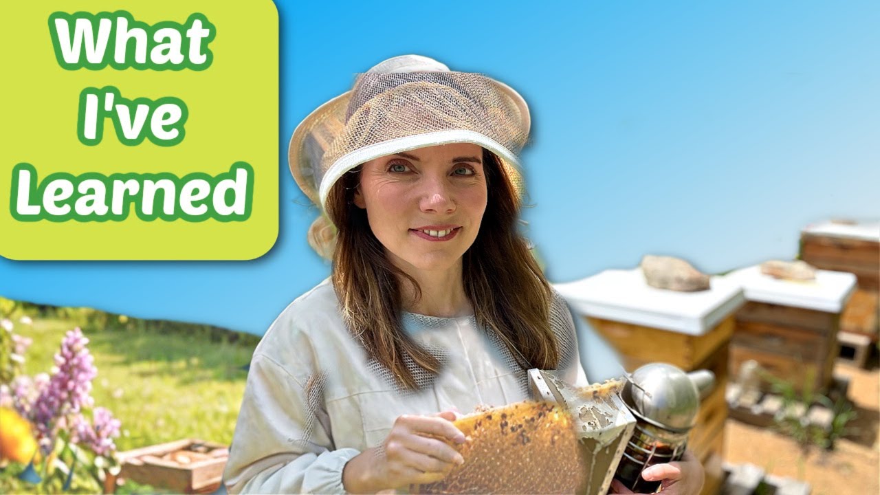 ESSENTIAL Tips for Beginners (from a 10+ Year Beekeeper) - YouTube