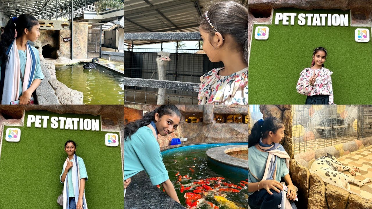 Petstation#pazhayangadi ||Zama'S World ️‍🩹 - YouTube
