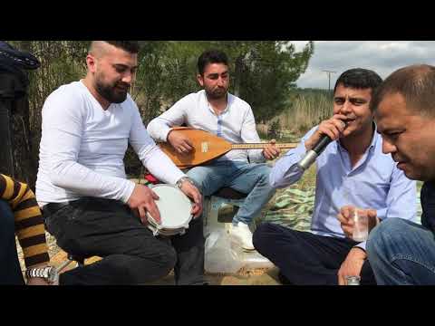 Şu Dağların Oylumuna & Amanın Leyla 2019 ( Alem )