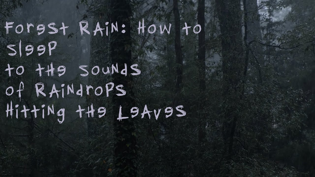 Forest Rain: How to Sleep to the Sounds of Raindrops Hitting the Leaves ...