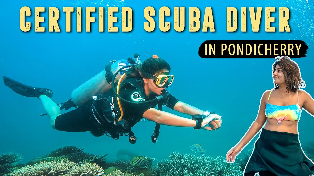 PADI Open Water Scuba Diving Course in PONDICHERRY 🤿 Scuba Diving ...