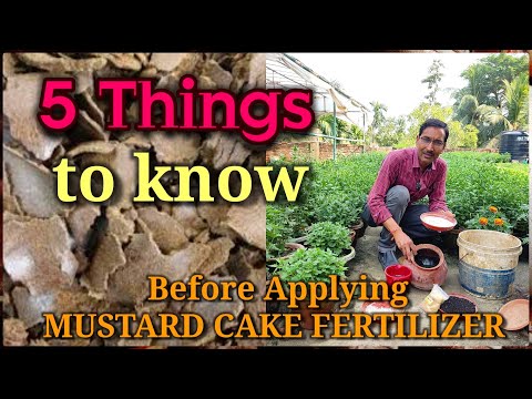 How To Use Mustard Cake Fertilizer For Plants