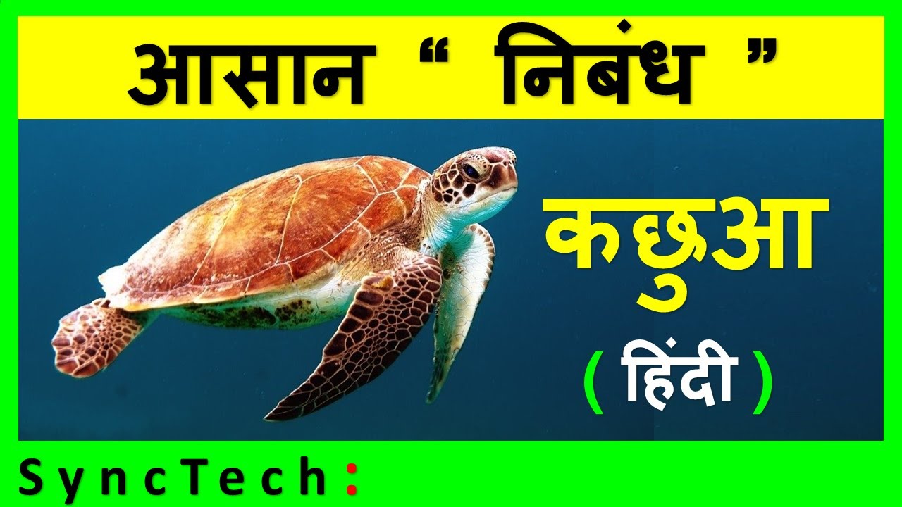 Essay on Turtle in Hindi | कछुआ पर निबंध हिंदी में - YouTube