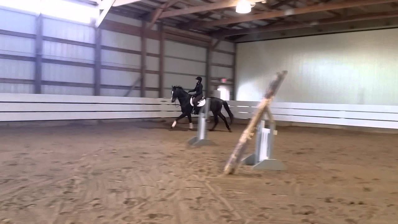 Royal Nov 24 left lead canter - YouTube