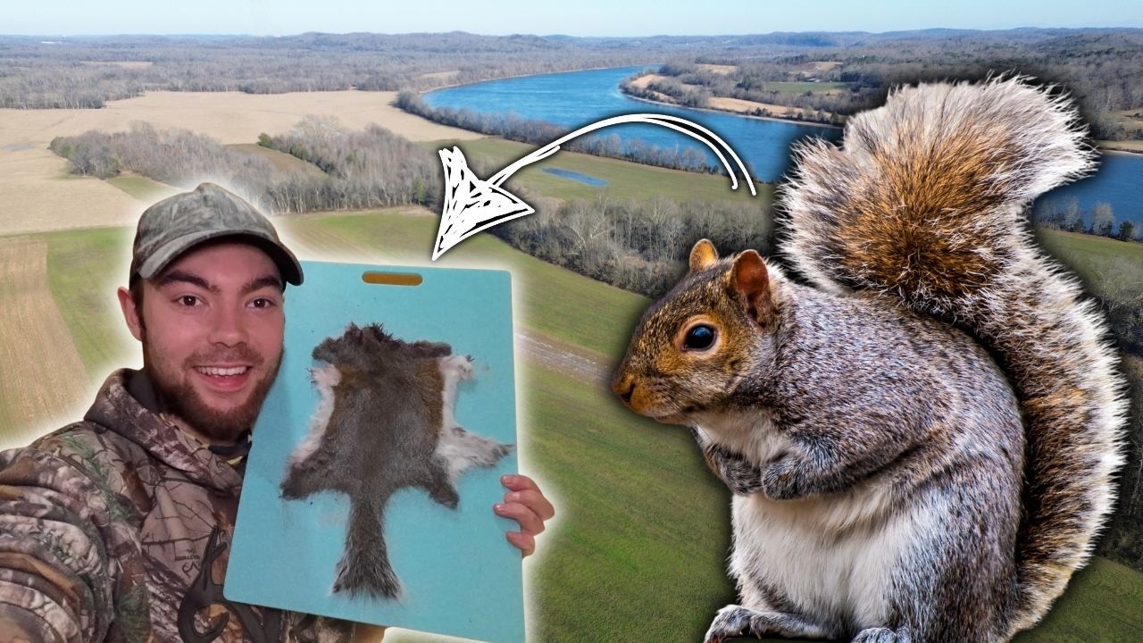 How To Skin A Squirrel For Hide Tanning Step-By-Step Guide! - YouTube