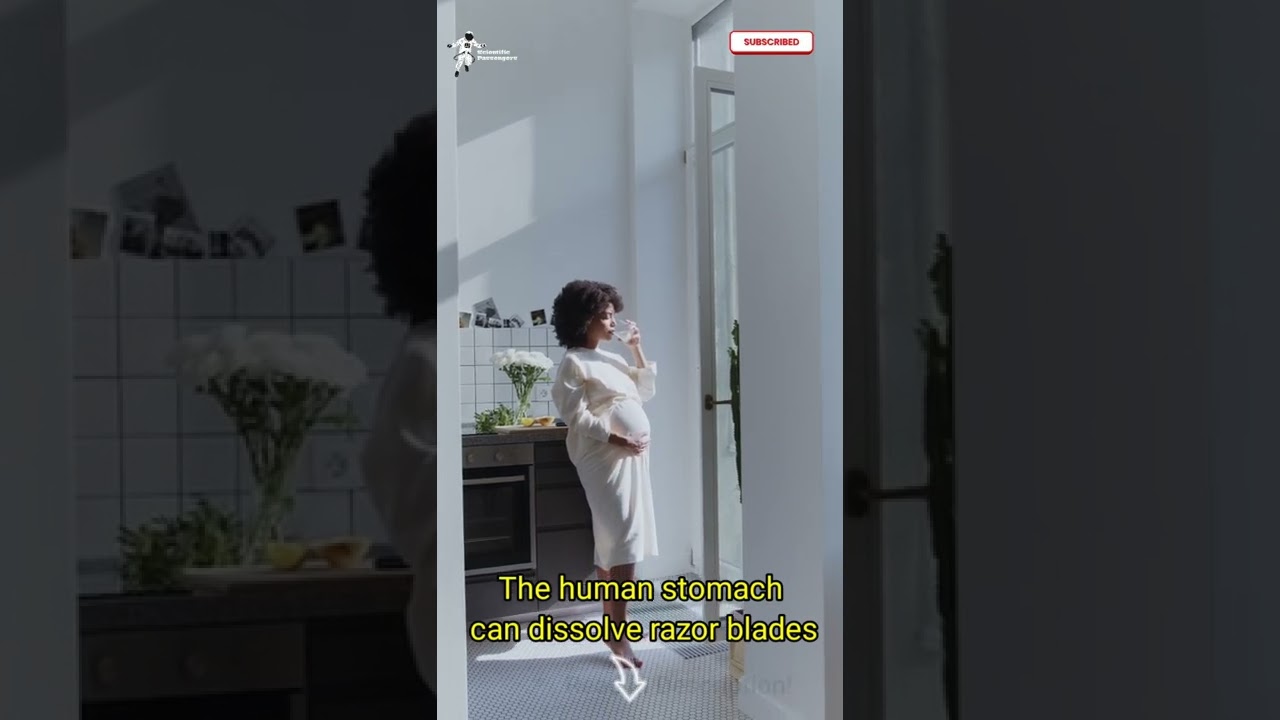 The Human Stomach Can Dissolve Razor Blades Shorts Youtube