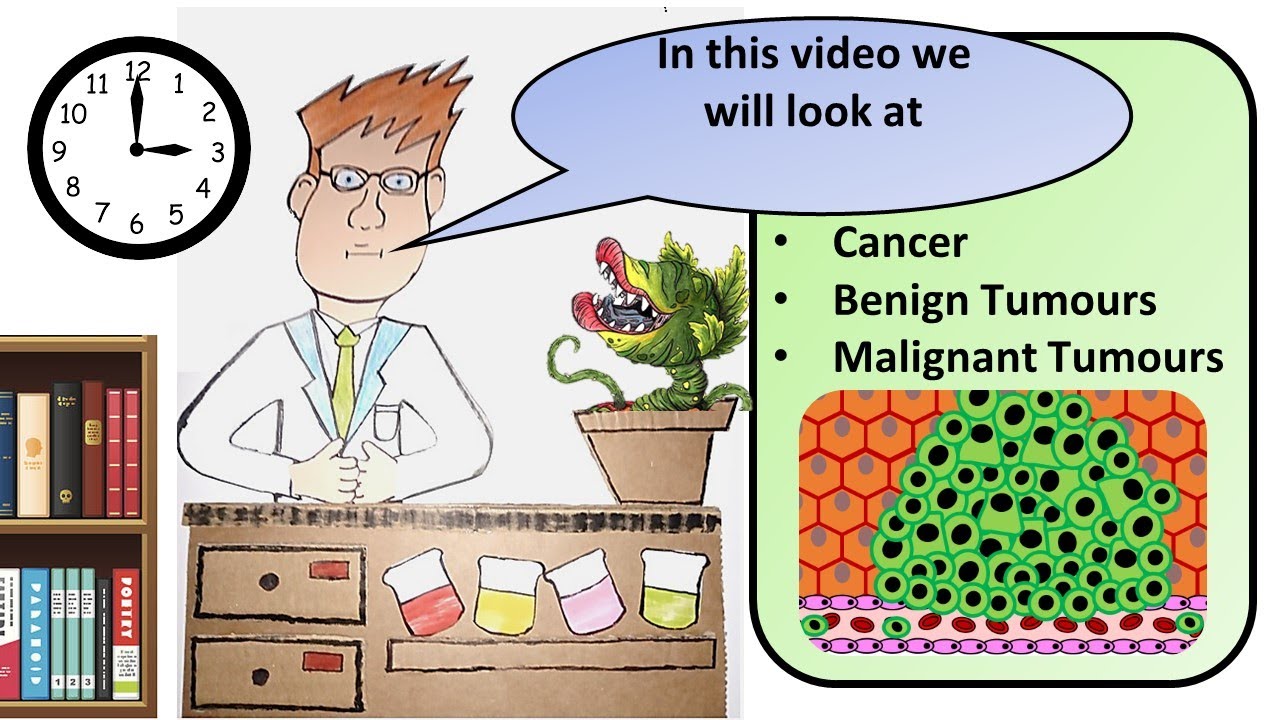 GCSE Biology Cancer Revision - YouTube