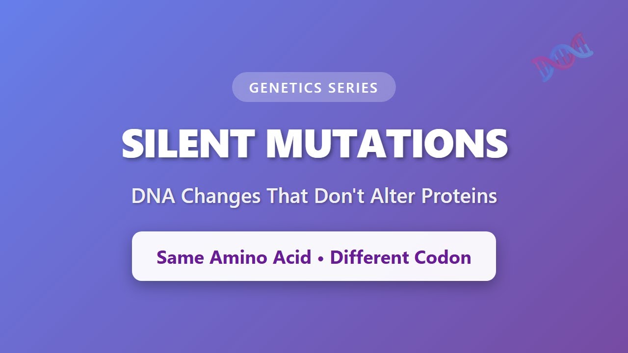 Silent Mutations Explained: DNA Changes That Don't Alter Proteins ...