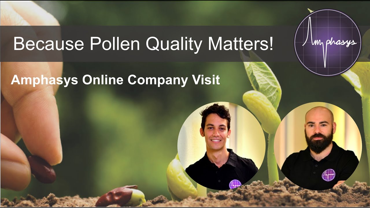 Amphasys - Because Pollen Quality Matters - YouTube