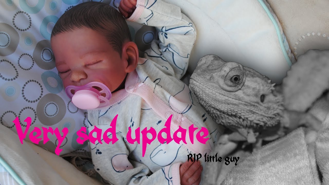 Changing 3 reborn dolls into new outfits, may update 2024 - YouTube