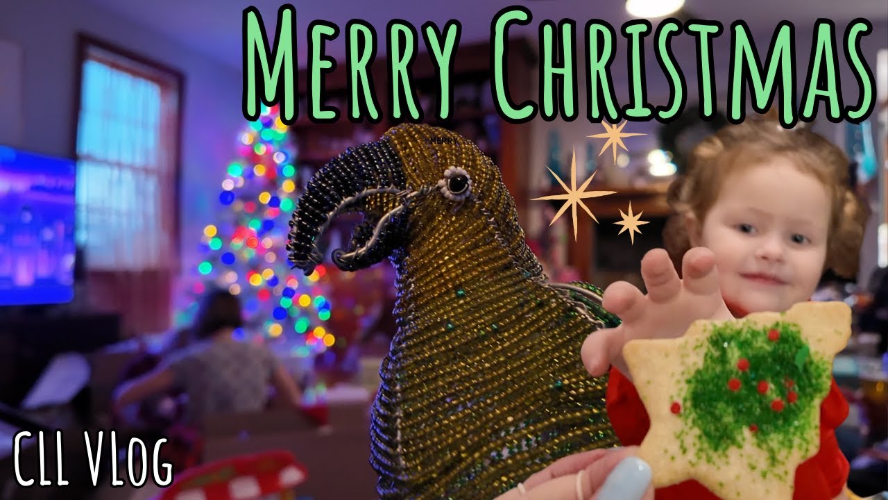 That Time Of YEAR AGAIN | MERRY CHRISTMAS From Crazy Lamp Lady and Fam ...