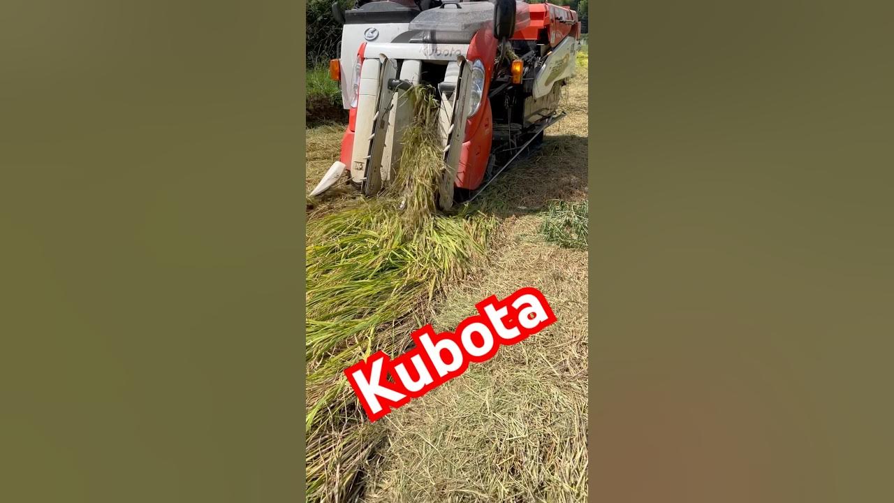 Kubota ER338 クボタの3条38馬力コンバインで刈り取りSTAR - YouTube