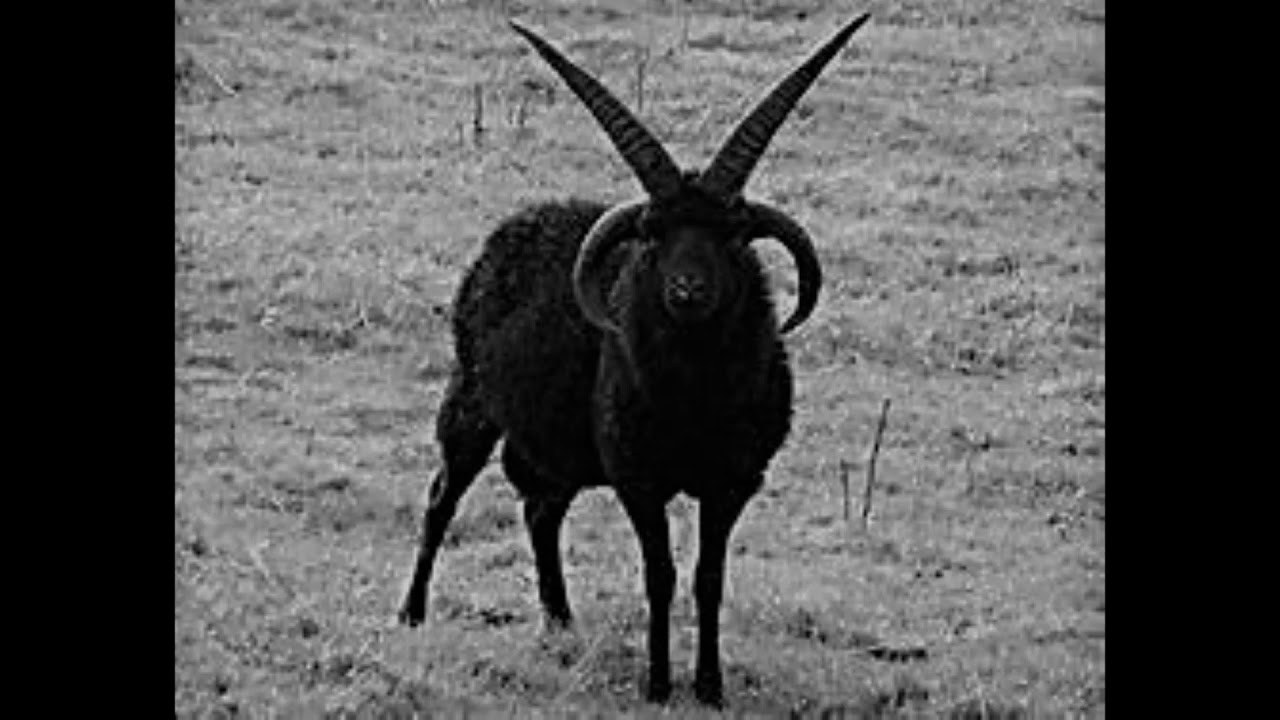 Kate Batts AKA Old Kate Batts - YouTube