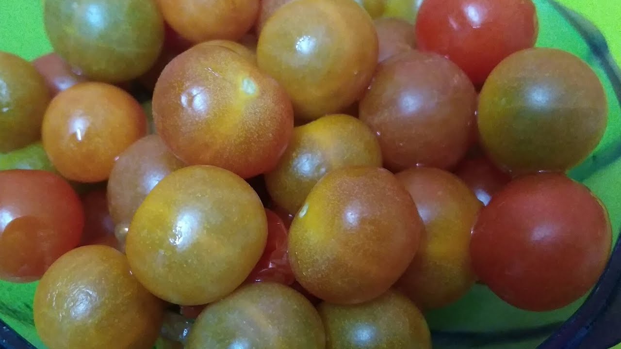 🍅🍅Cherry tomatoes recipe | baby tomatoes ki sabji |छोटे टमाटर की खट्टी ...