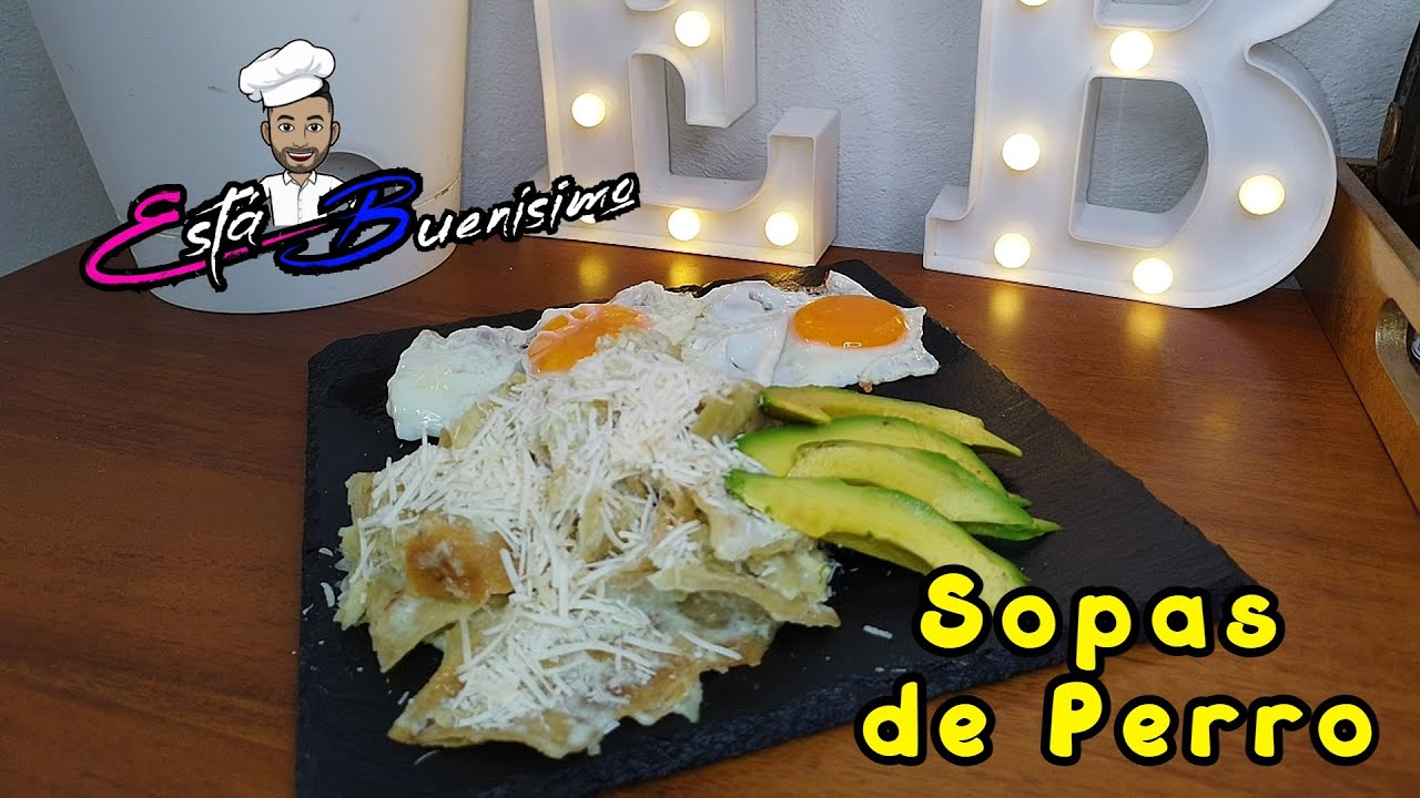 🔴SOPAS DE PERRO 🐕 y para humanos 👫 - YouTube