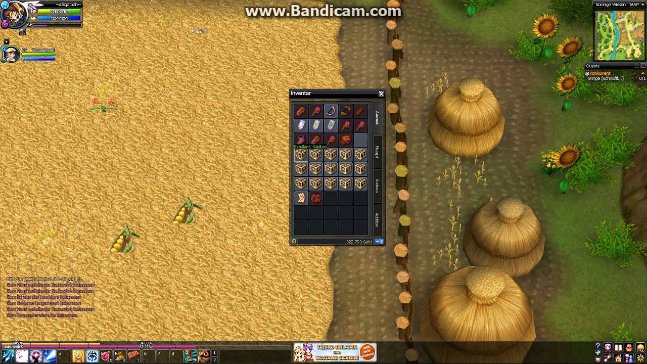 Nostale Cuby Raid Unboxing - YouTube