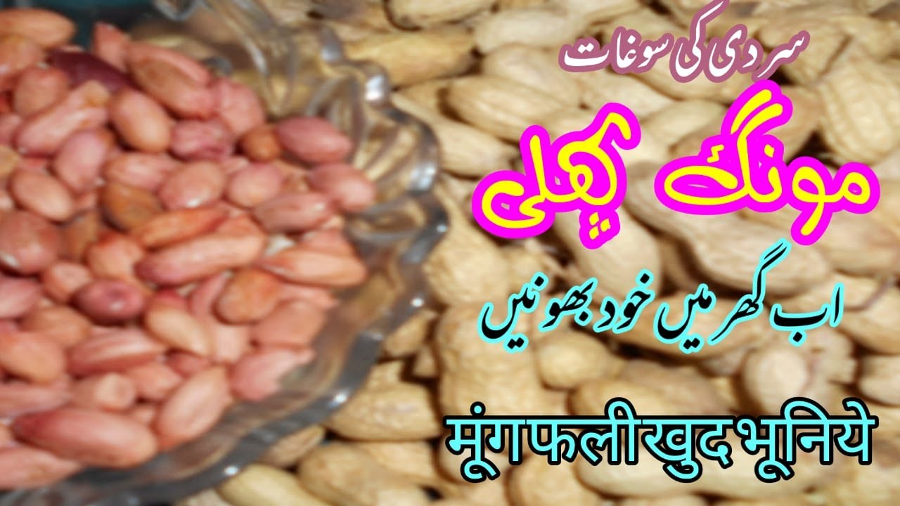 Mong Phali Ghar me Kese bhone? I How Roast Salty Peanut at Home I ...