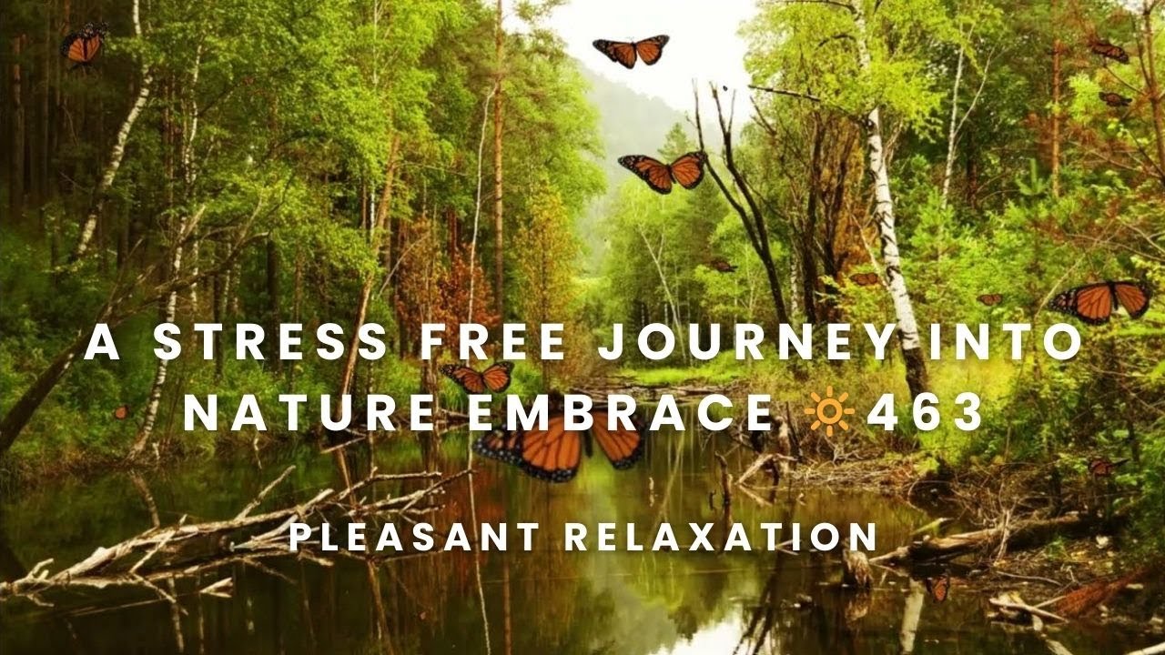 A Stress Free Journey into Nature Embrace ★463 - YouTube
