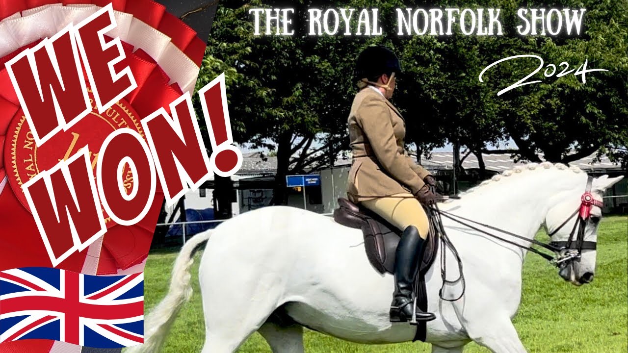 WE WON!! ROYAL NORFOLK SHOW WINNER- RIDING HORSE CLASS - YouTube