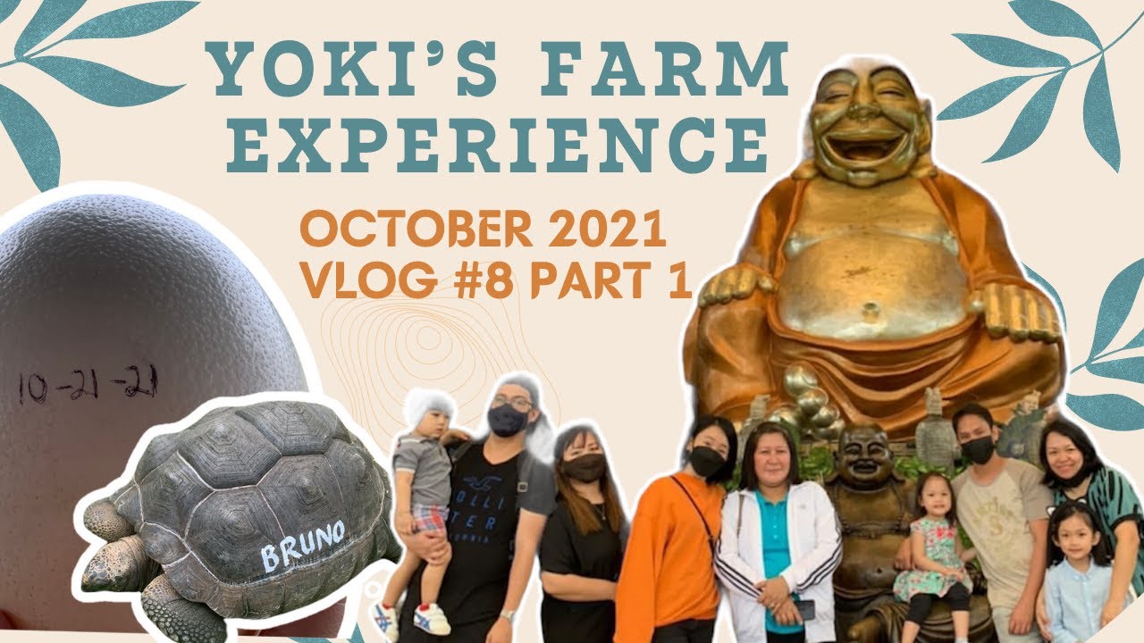 YOKI'S FARM EXPERIENCE | OCTOBER 2021 (PART 1) - YouTube