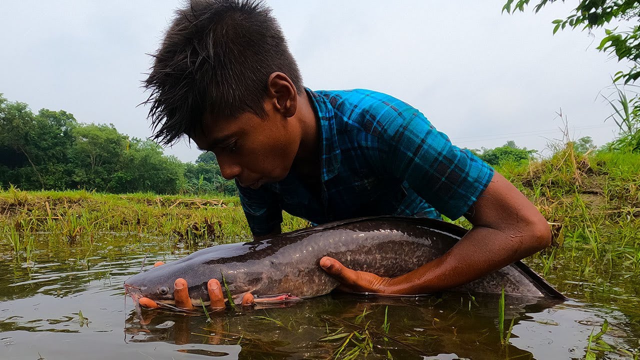 amazing hand fishing - smart boy catching fish by hand - traditional ...