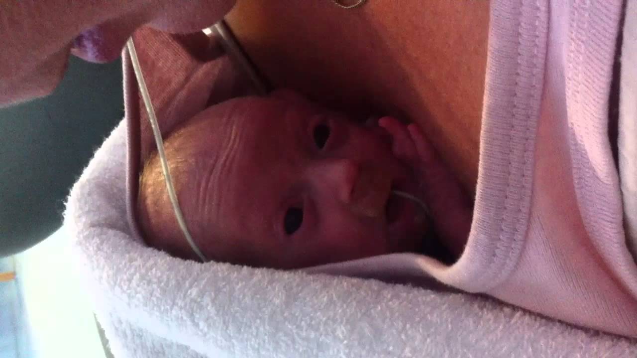 Ruby having kangaroo cuddle June 2013 - YouTube