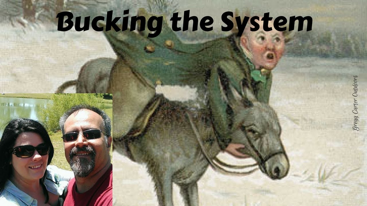 Bucking the System - YouTube