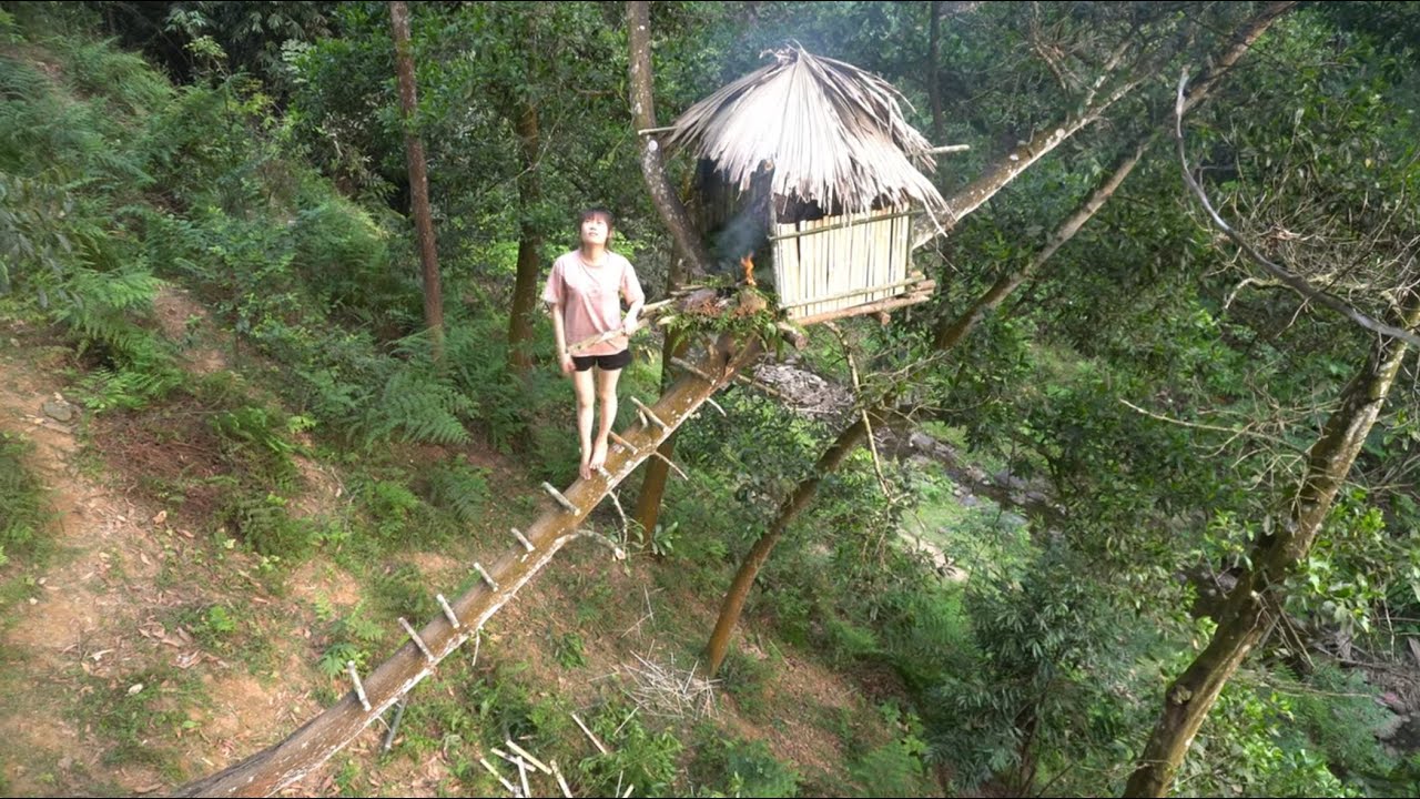 Camping Life - Building Warm Survival Shelter tree house, Solo ...
