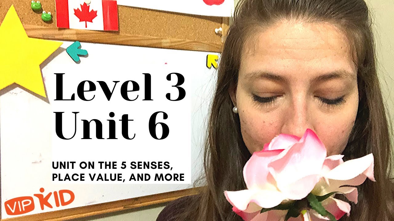 VIPKid- Level 3 Unit 6: 5 senses, place value, adjectives, and more ...