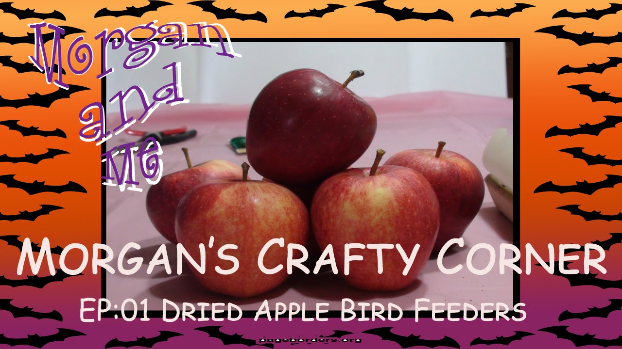 Morgan's Crafty Corner #1- Dried Apple Bird Feeders - YouTube