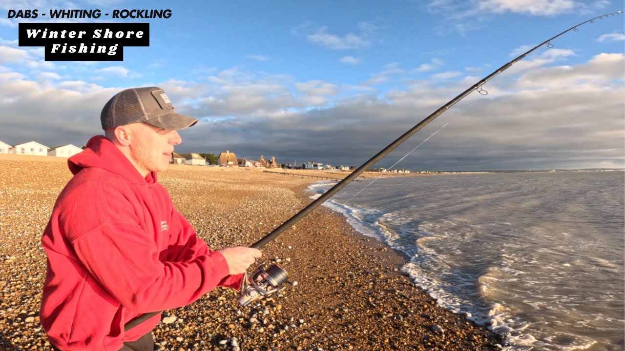 Winter Shore Fishing UK - Scratching Rigs And Small Baits, What Can We ...